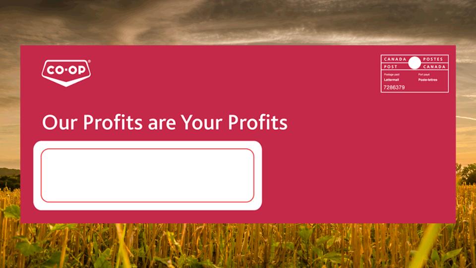 FREQUENTLY ASKED QUESTIONS ABOUT EQUITY | Cornerstone Co-op